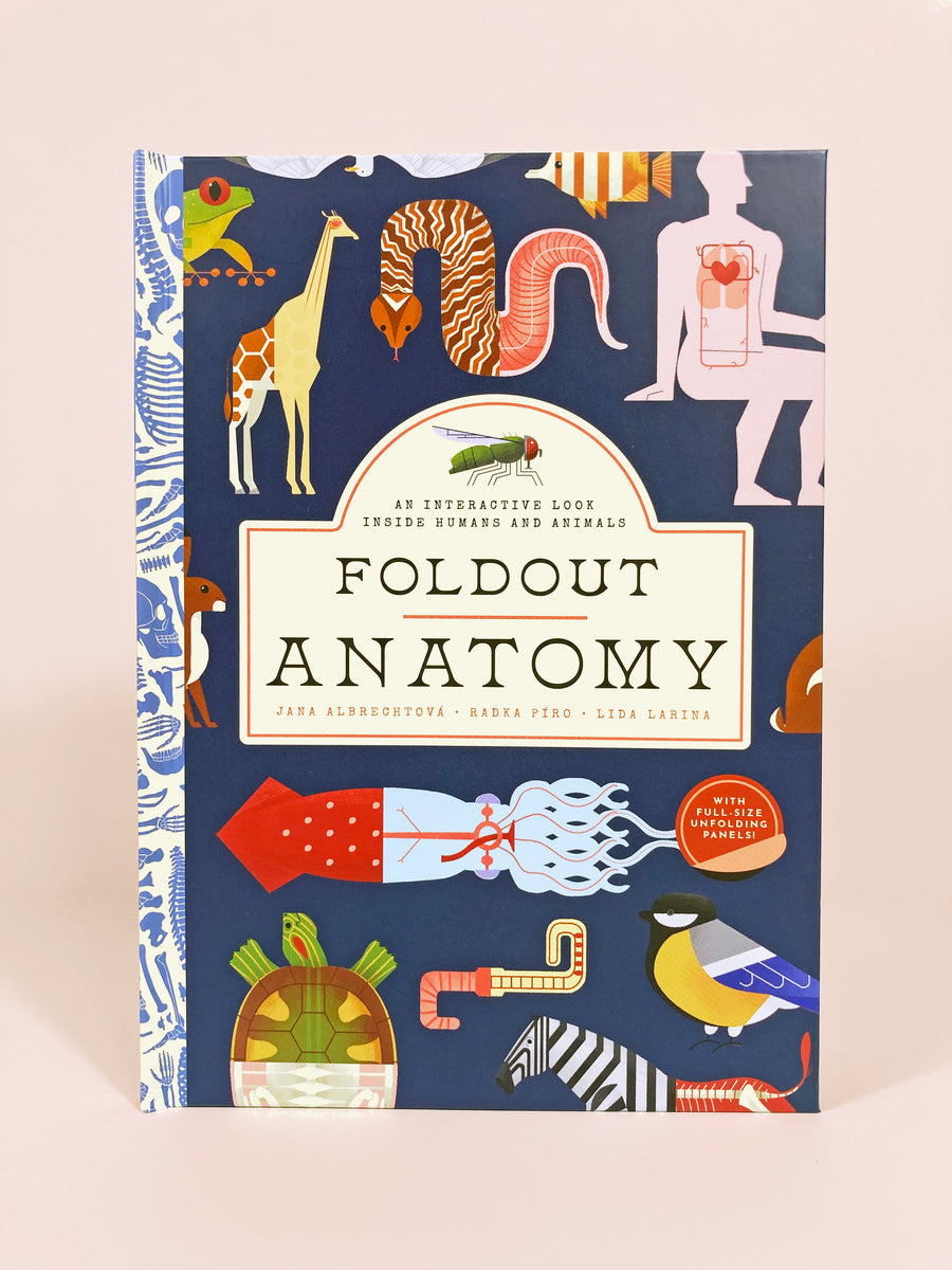 Foldout Anatomy – Bushel & Peck Books