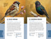 A Kid’s Guide to 50 Backyard Birds – Bushel & Peck Books