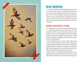 A Kid’s Guide to 50 Backyard Birds – Bushel & Peck Books