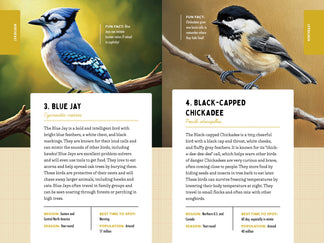 A Kid’s Guide to 50 Backyard Birds – Bushel & Peck Books