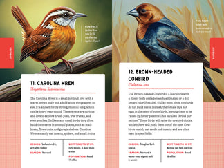 A Kid’s Guide to 50 Backyard Birds – Bushel & Peck Books