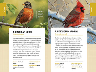 A Kid’s Guide to 50 Backyard Birds – Bushel & Peck Books