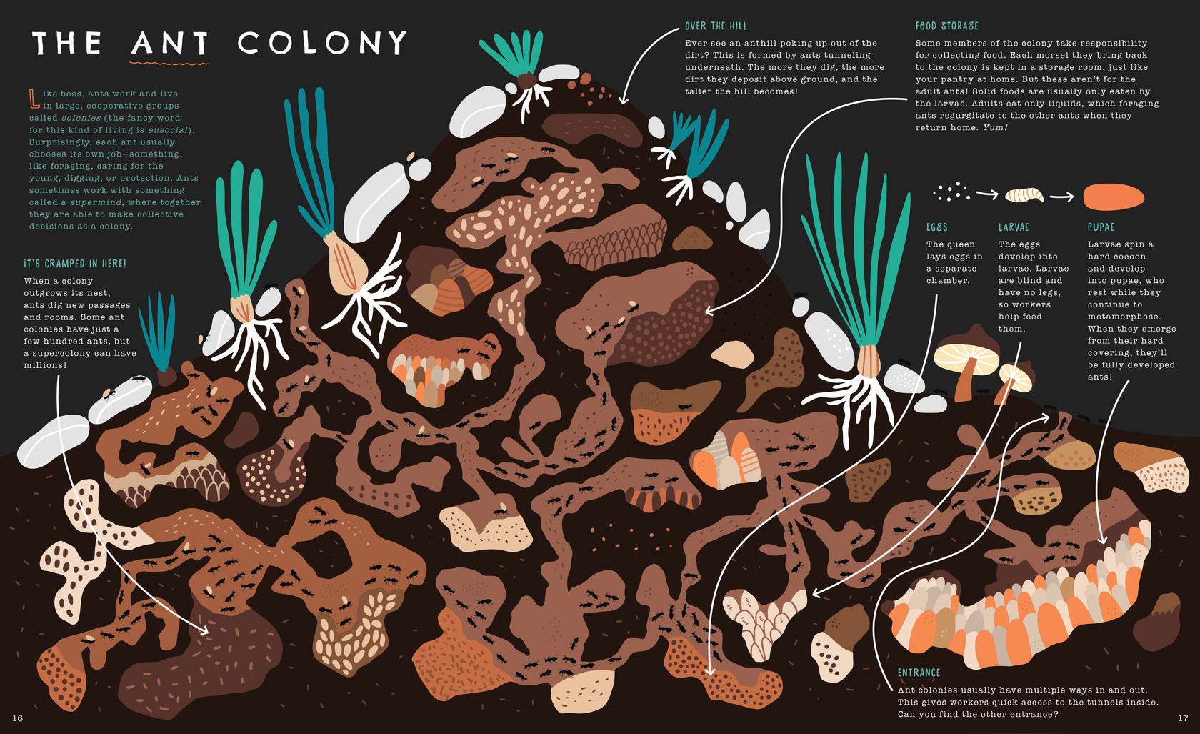 Inner Workings – Bushel & Peck Books